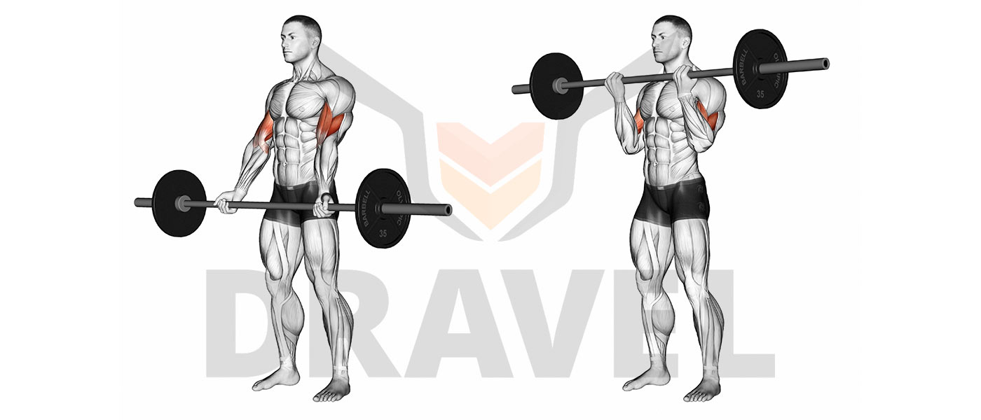 Exercice biceps : Le top 5 des meilleurs exercices pour avoir de gros ...