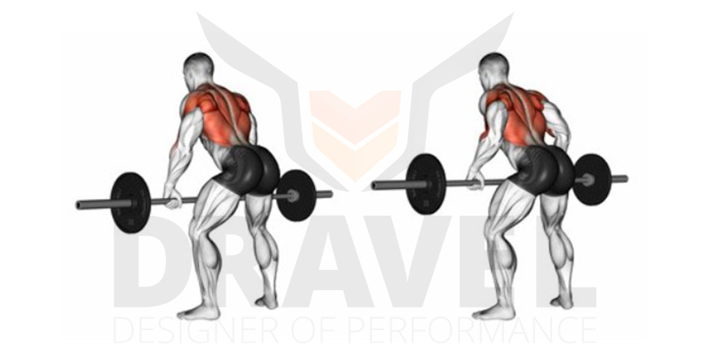 Le top 5 de meilleurs exercices pour le dos en musculation - DRAVEL