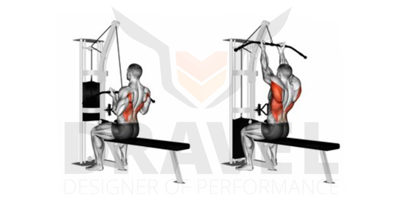 Le top 5 de meilleurs exercices pour le dos en musculation - DRAVEL