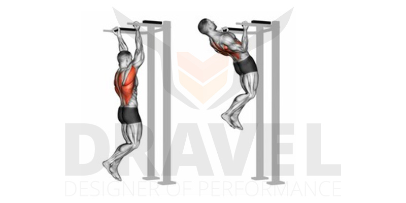 Le top 5 de meilleurs exercices pour le dos en musculation - DRAVEL