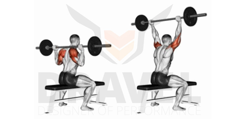 Meilleurs exercices épaules en musculation : Exos, programme - DRAVEL