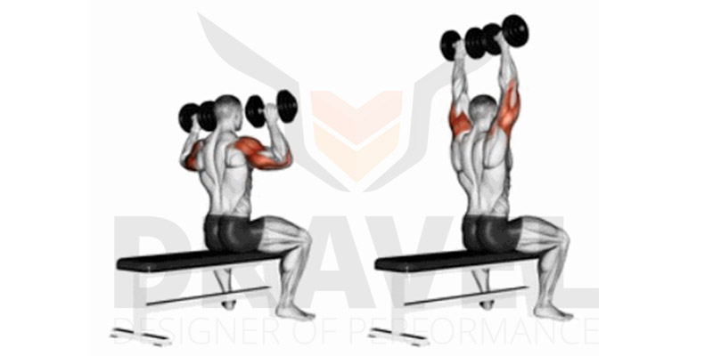 Meilleurs exercices épaules en musculation : Exos, programme - DRAVEL