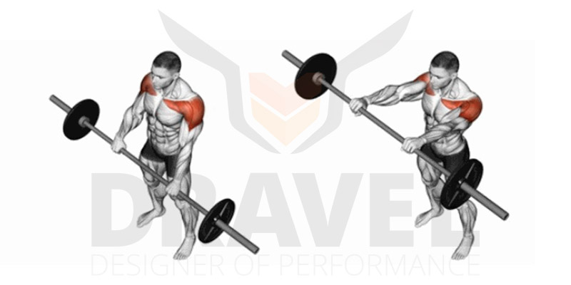 Meilleurs exercices épaules en musculation : Exos, programme - DRAVEL