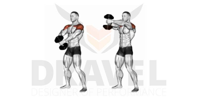 Meilleurs exercices épaules en musculation : Exos, programme - DRAVEL