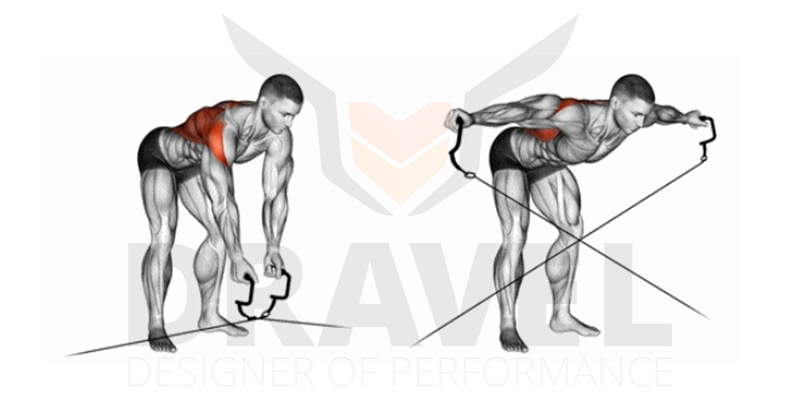 Meilleurs exercices épaules en musculation : Exos, programme - DRAVEL