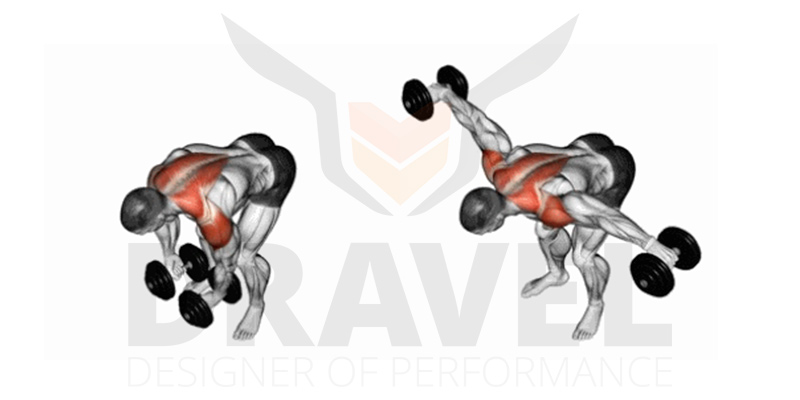 Meilleurs exercices épaules en musculation : Exos, programme - DRAVEL